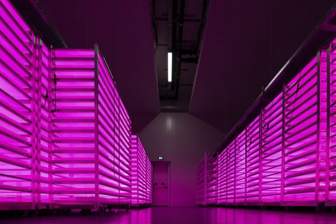 Leaf Carrier is part of Lab Associates’ exhibit at GreenTech